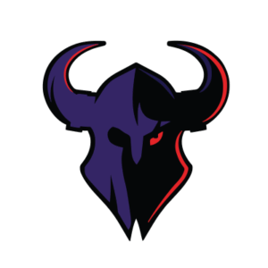 CDL Major II - DreamHack Birmingham